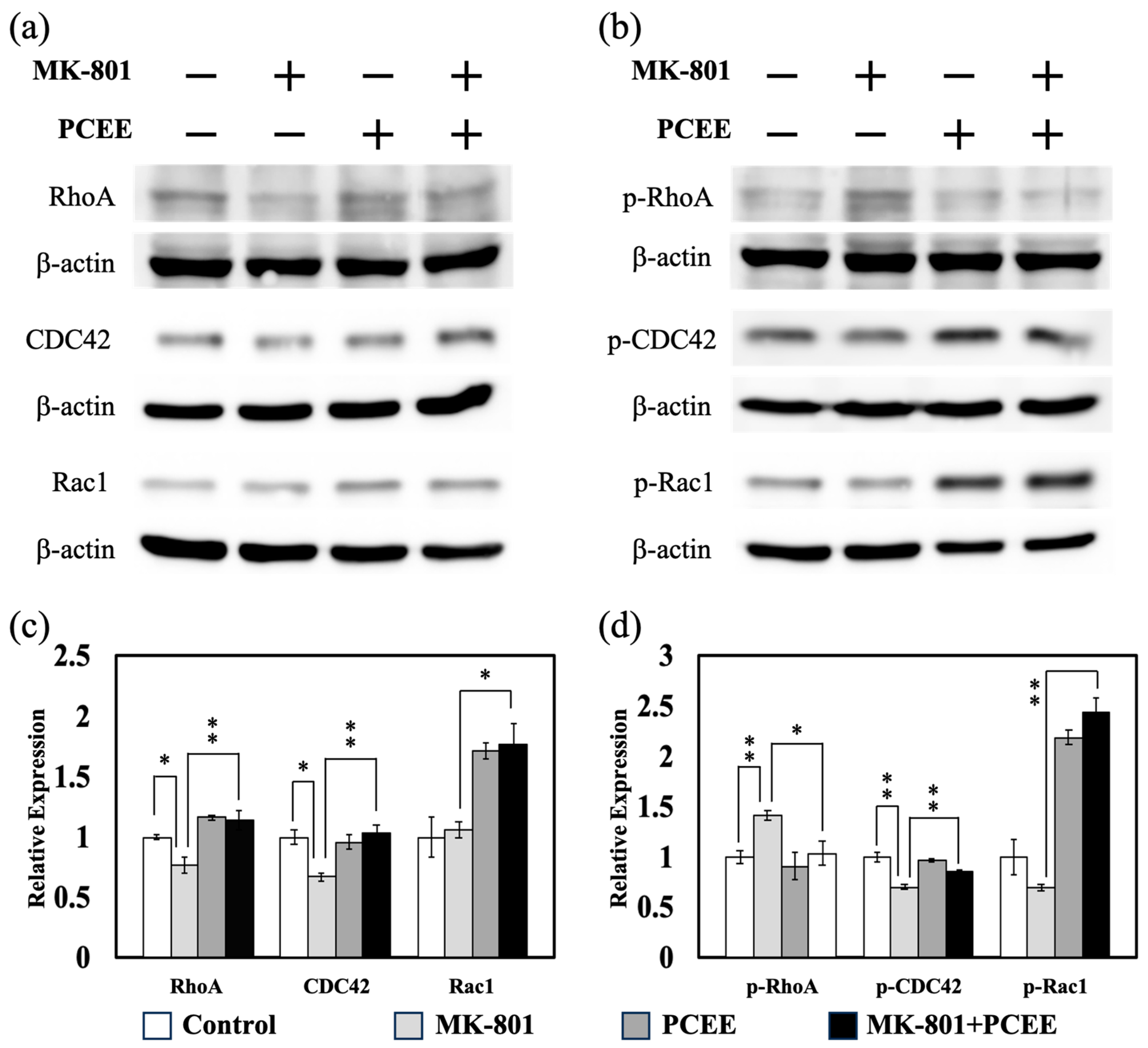 Poria cocos Ethanol Extract Restores MK-801-Induced Cytoskeleton Regulation in Neuro2A and IMR ...