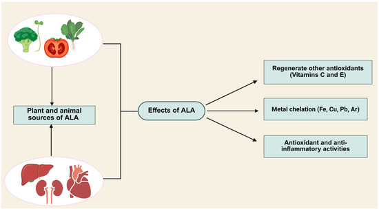 Therapeutic Potential of Alpha-Lipoic Acid: Unraveling Its Role in ...