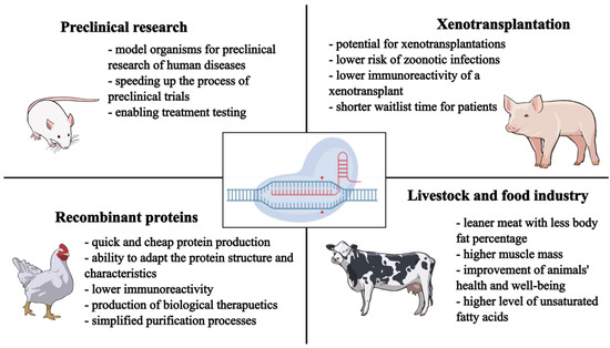 CRISPR-Cas9 in the Tailoring of Genetically Engineered Animals