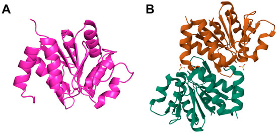 DJ-1 Serves as a Central Regulator of Diabetes Complications