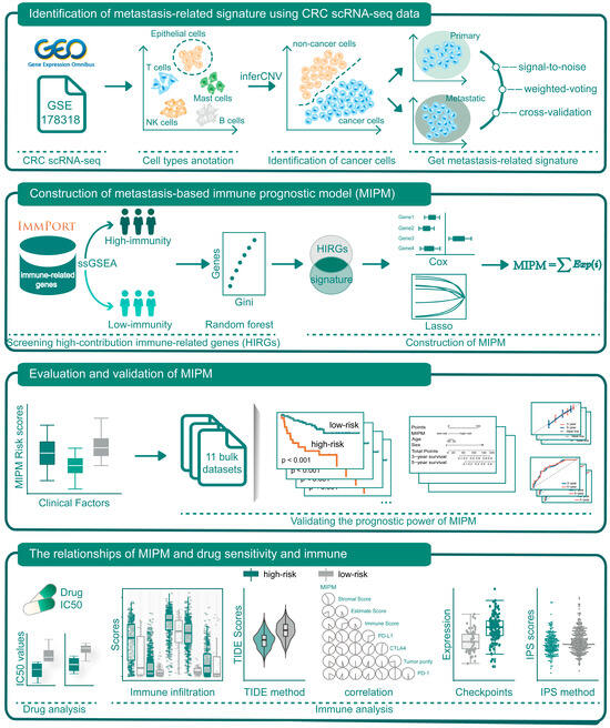 Integrating Primary and Metastatic scRNA–Seq and Bulk Data to Develop an Immune–Based Prognosis ...