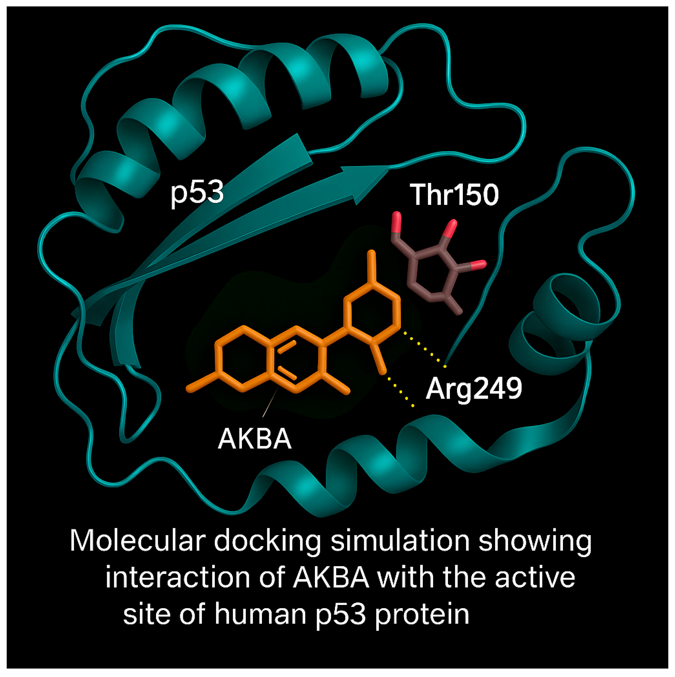 Synergistic Induction of Apoptosis by Boswellic Acid and Cisplatin in A549 Lung Cancer Cells ...