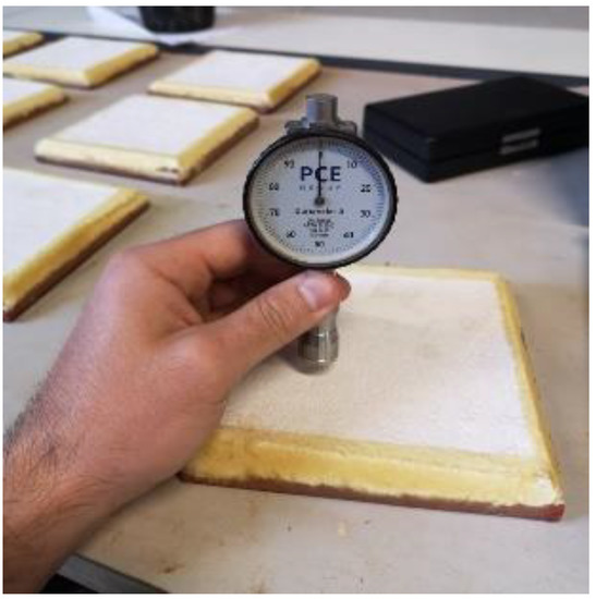 Assessment of the Type of Paint on Performance of Rendering Mortars