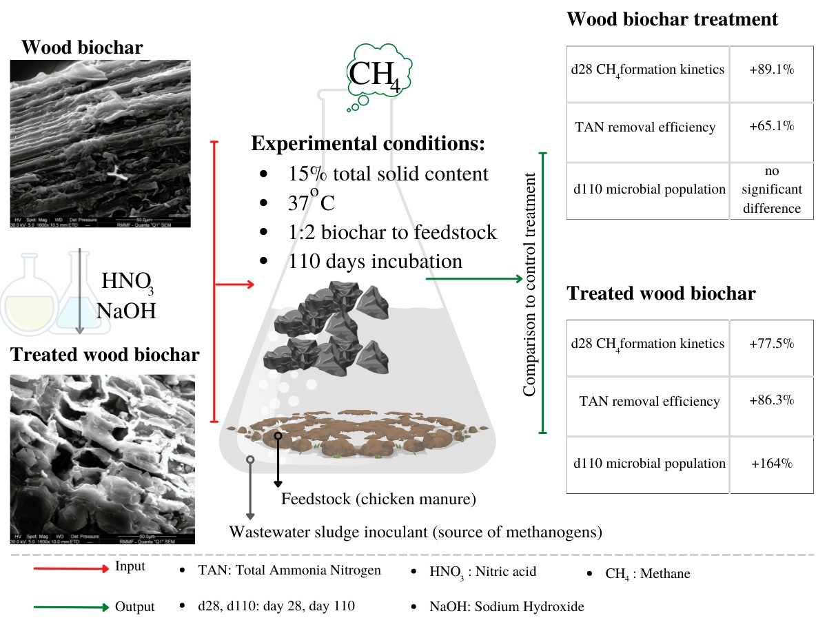 Clean Technol. | Free Full-Text | Wood Biochar Enhances the ...