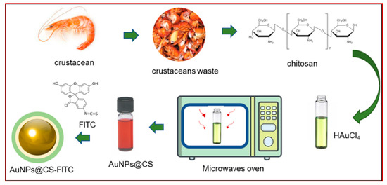 Sustainable Synthesis of FITC Chitosan-Capped Gold Nanoparticles for ...