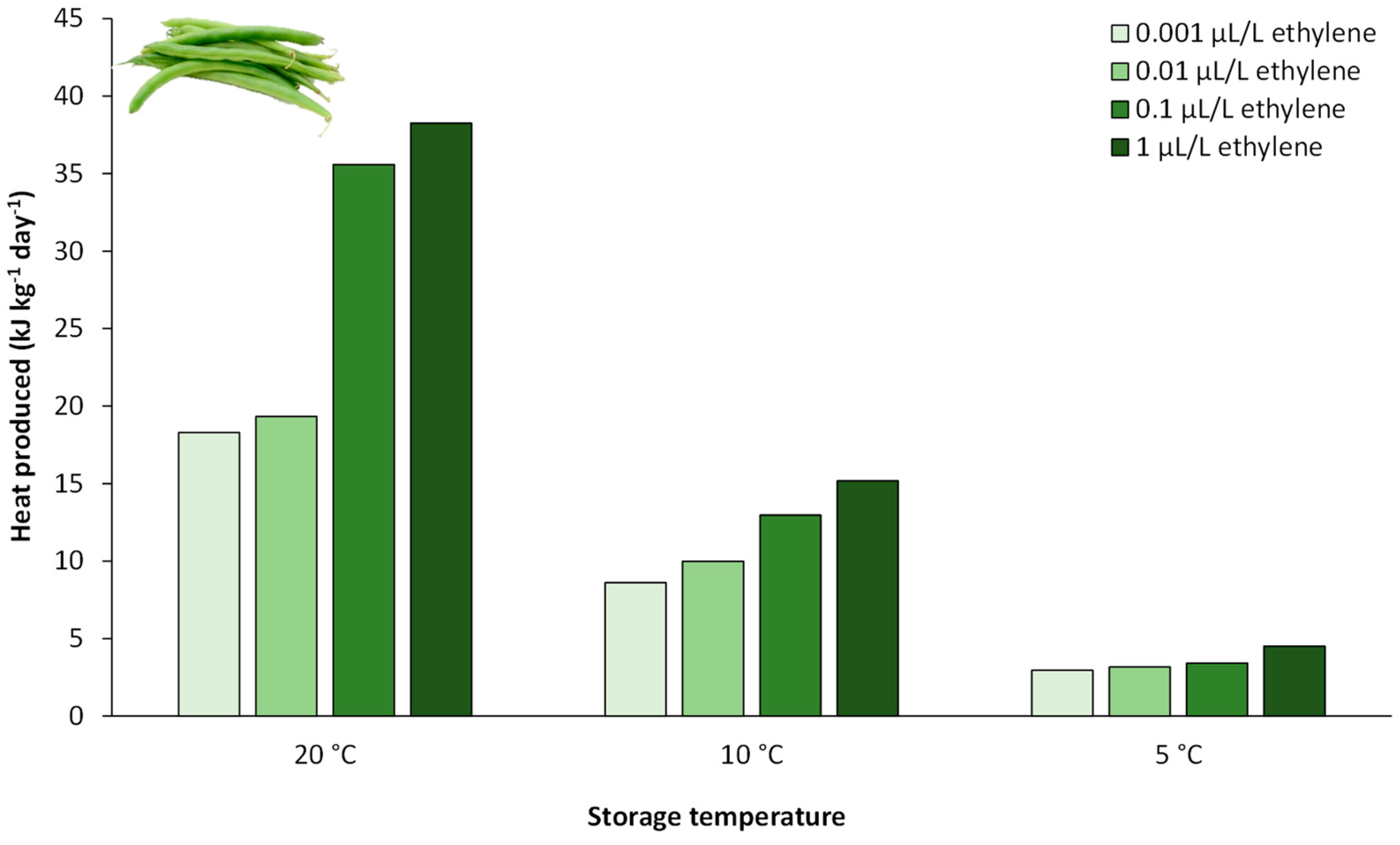 Potential of Released Essential Oils from Active Packaging to Reduce ...