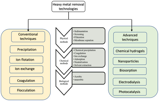 Remediation of Heavy Metals Using Biomass-Based Adsorbents: Adsorption ...