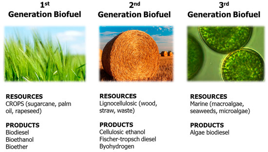 Biodiesel Sustainability: Review of Progress and Challenges of ...