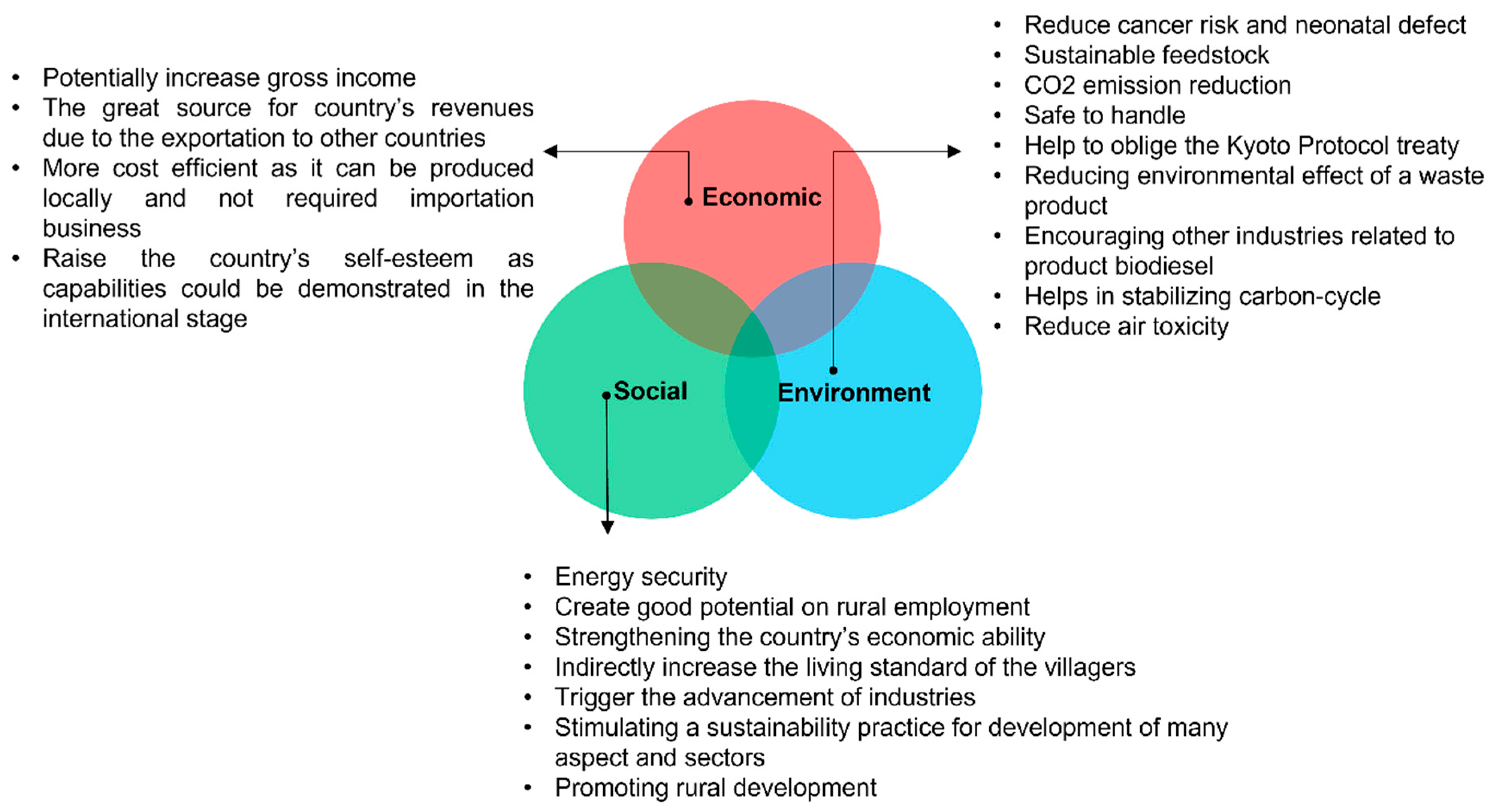 Biodiesel Sustainability: Review of Progress and Challenges of Biodiesel as Sustainable Biofuel