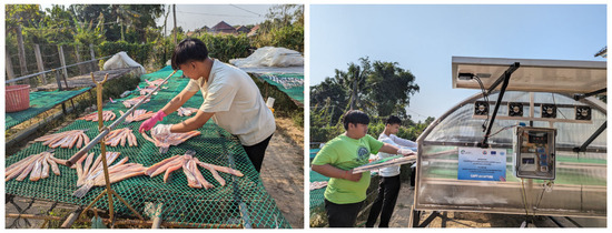 Development and Performance Assessment of Sensor-Mounted Solar Dryer ...