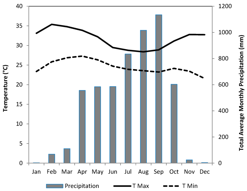 Fluctuation of Groundwater Levels and Recharge Patterns in Northern Ghana