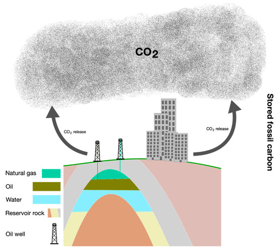 Forest Contribution to Climate Change Mitigation: Management Oriented ...