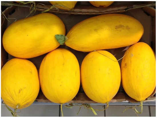 Local Melon and Watermelon Crop Populations to Moderate Yield Responses ...