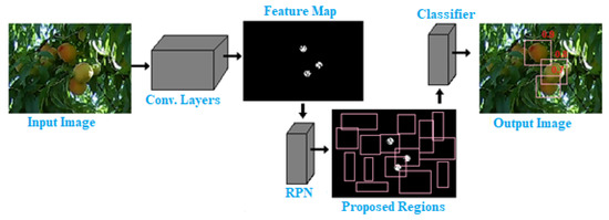 Peaches Detection Using A Deep Learning Technique—a Contribution To Yield Estimation Resources
