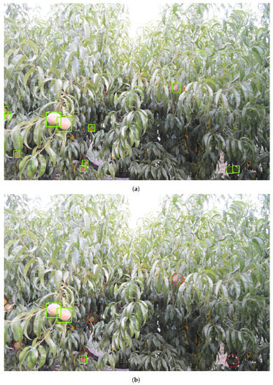 Peaches Detection Using A Deep Learning Technique—a Contribution To Yield Estimation Resources