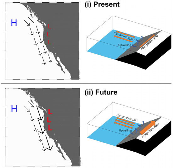Upwelling in Marginal Seas and Its Association with Climate Change Scenario—A Comparative Review