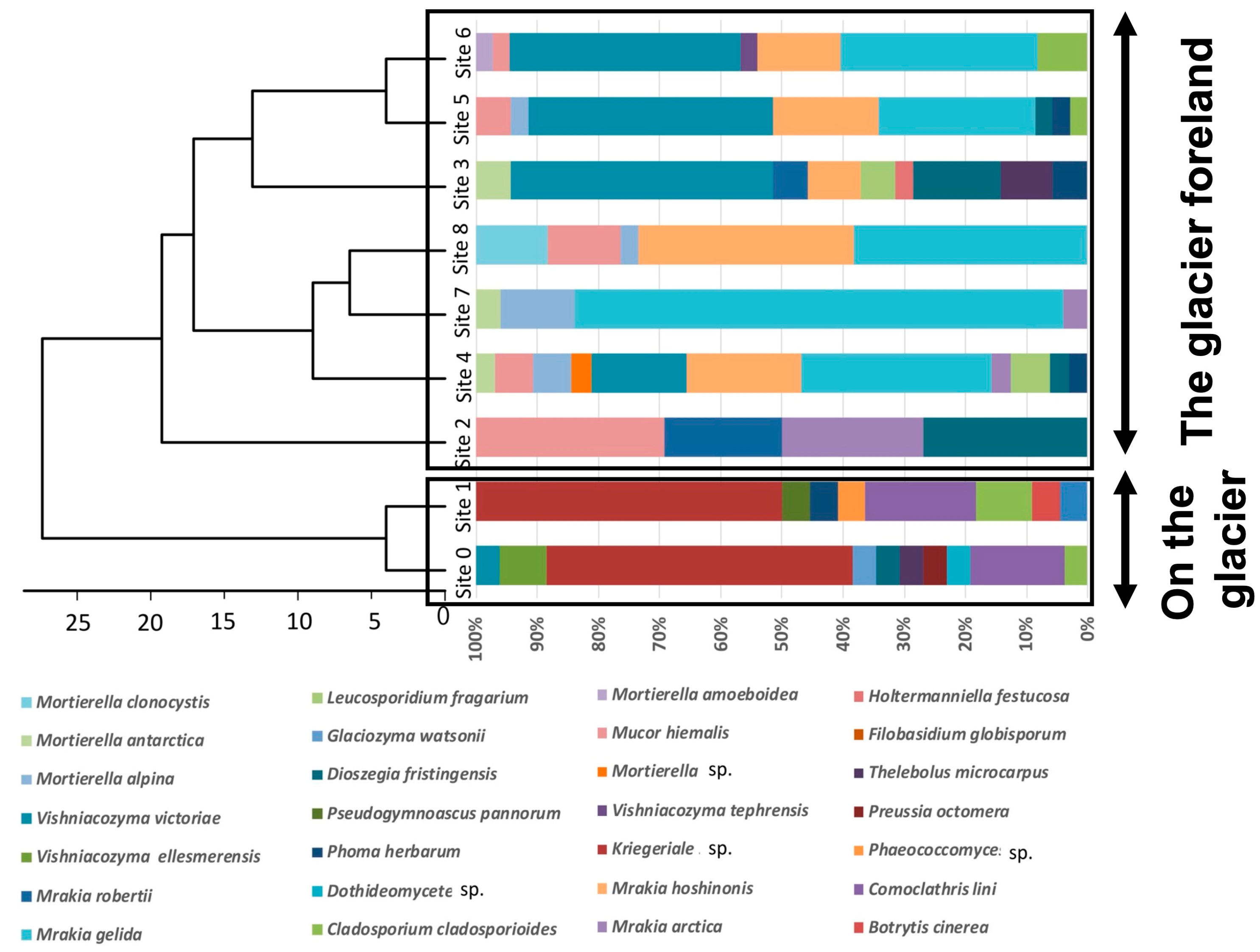 Climate | Free Full-Text | Survey on Fungi in Antarctica and High ... Climate | Free Full-Text | Survey on Fungi in Antarctica and High ...