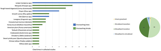Climate | Free Full-Text | Grassland Resilience to Woody Encroachment ...