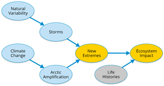 Emergence of Arctic Extremes