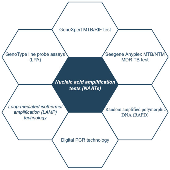 Evolution of Laboratory Diagnosis of Tuberculosis