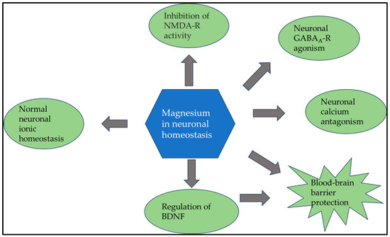 Magnesium Is a Vital Ion in the Body—It Is Time to Consider Its ...