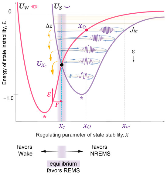 The Wave Model of Sleep Dynamics and an Invariant Relationship between ...