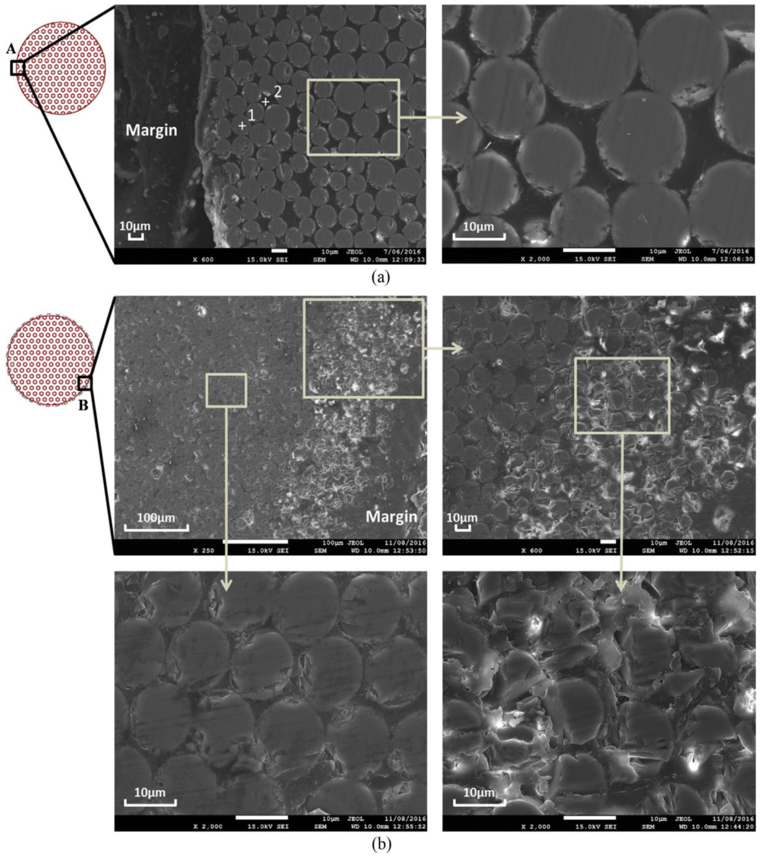 Understanding Fibre-Matrix Degradation of FRP Composites for Advanced ...