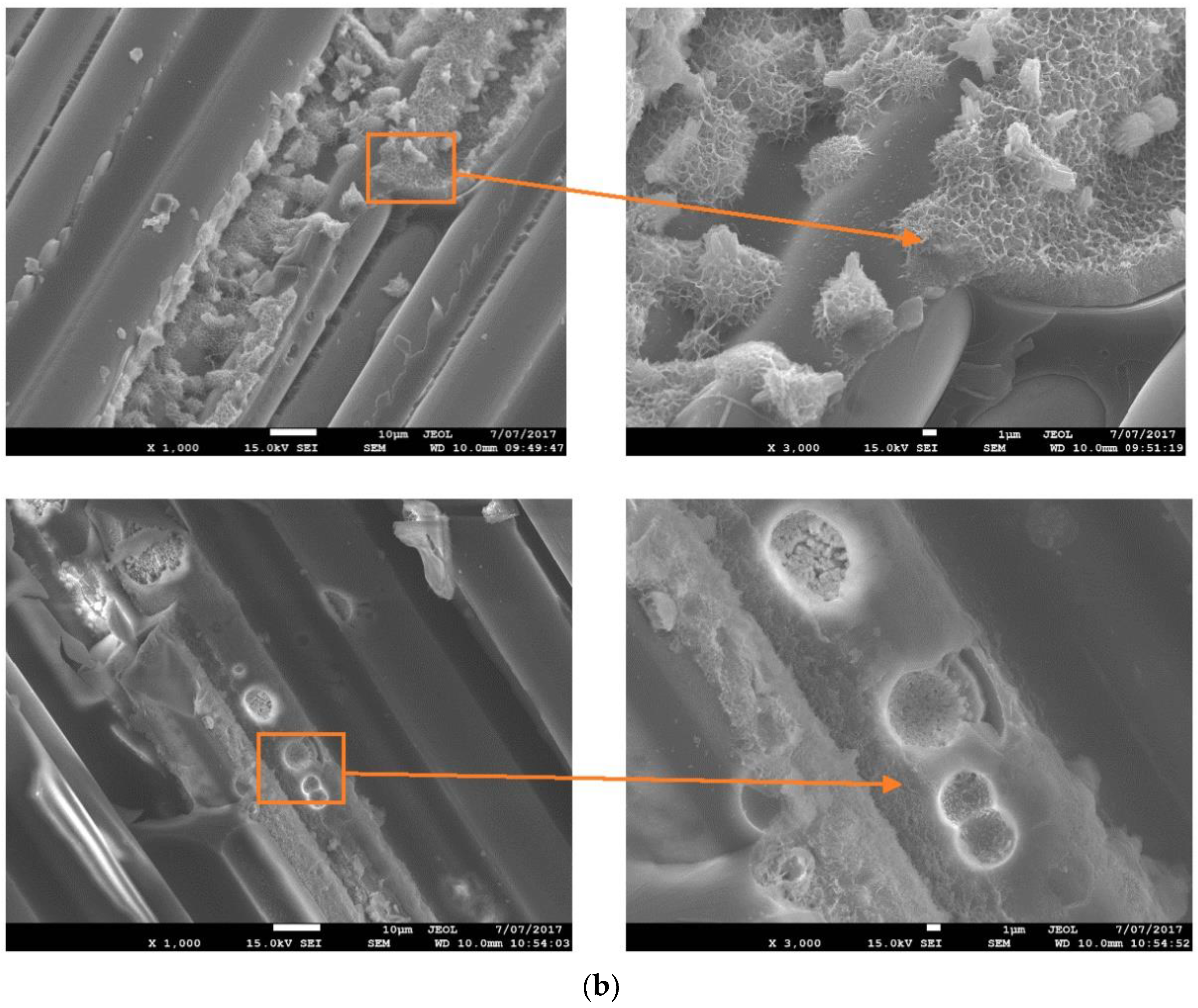 Understanding Fibre-Matrix Degradation of FRP Composites for Advanced ...