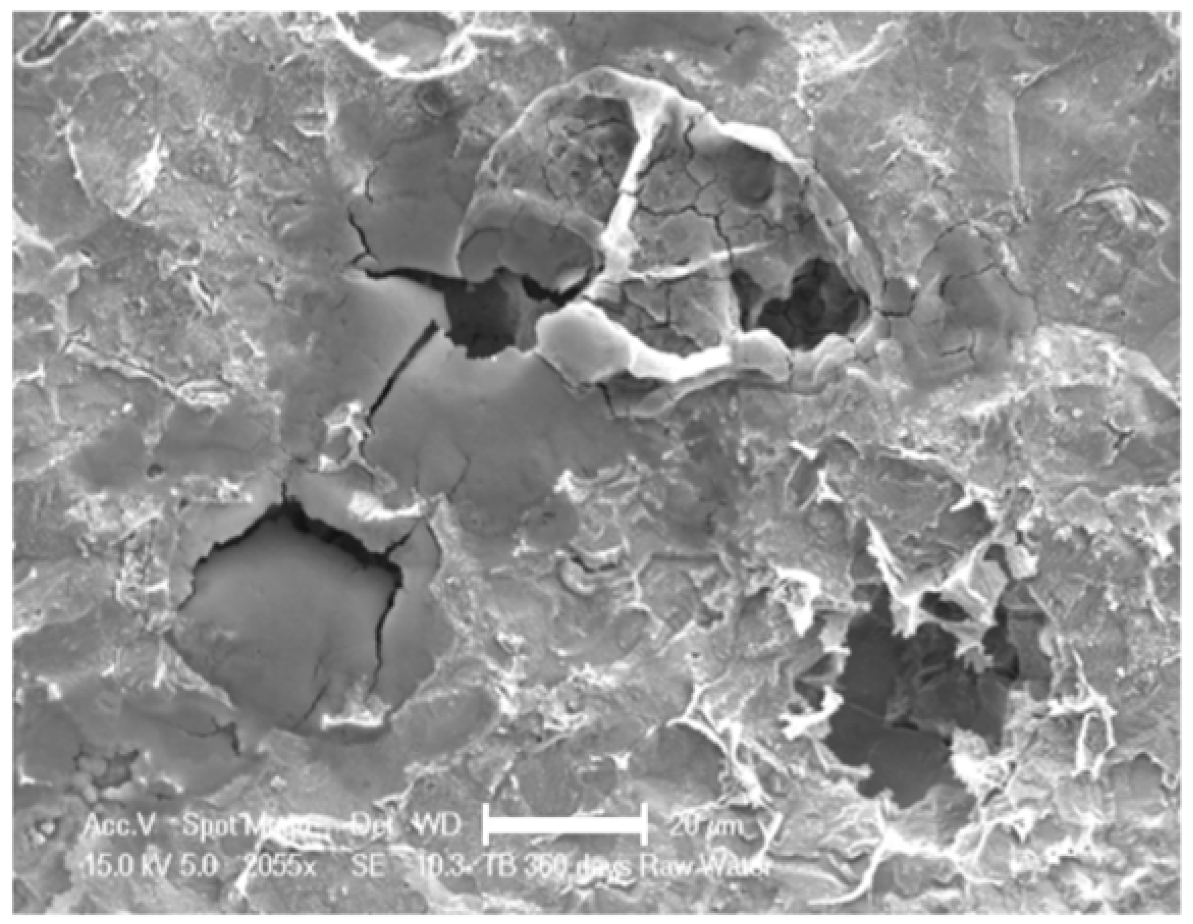 A Review of Trends for Corrosion Loss and Pit Depth in Longer-Term ...