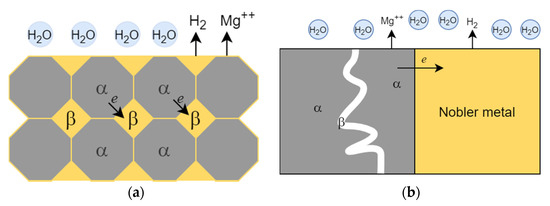 Magnesium Metal Structure
