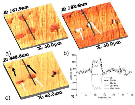 Application of AFM-Based Techniques in Studies of Corrosion and ...