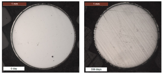 Degradation of Steel Wires in Bimetallic Aluminum–Steel Conductors ...