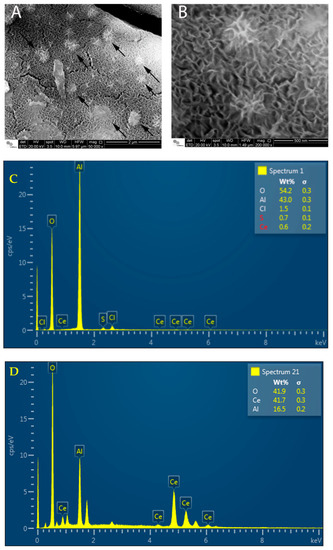 Investigation on the Effect of a Chromium-Free Sealing Treatment for ...