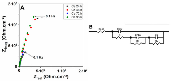 Investigation on the Effect of a Chromium-Free Sealing Treatment for ...