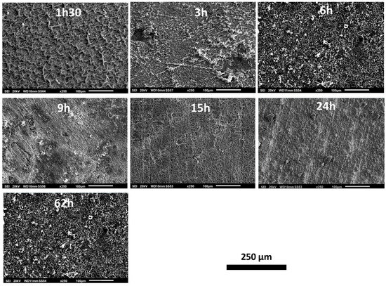 Advancement of the Oxidized State of an As-Cast Low-Mn, High-Cr Cantor ...