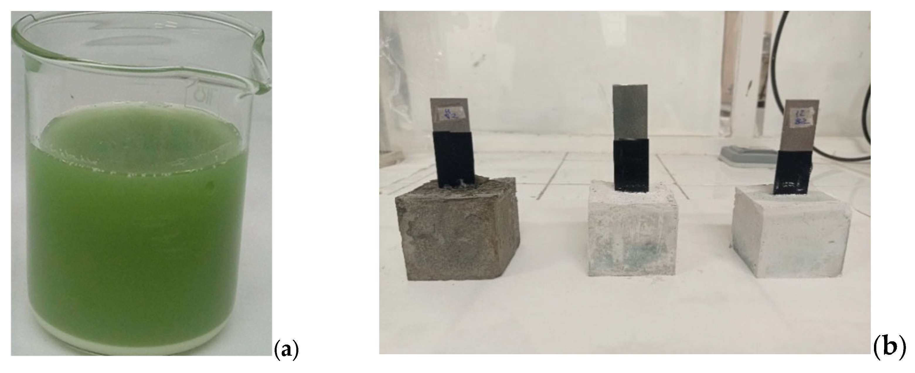 Decontamination-Sludge-Induced Corrosion of Steel in Simulated Pore ...