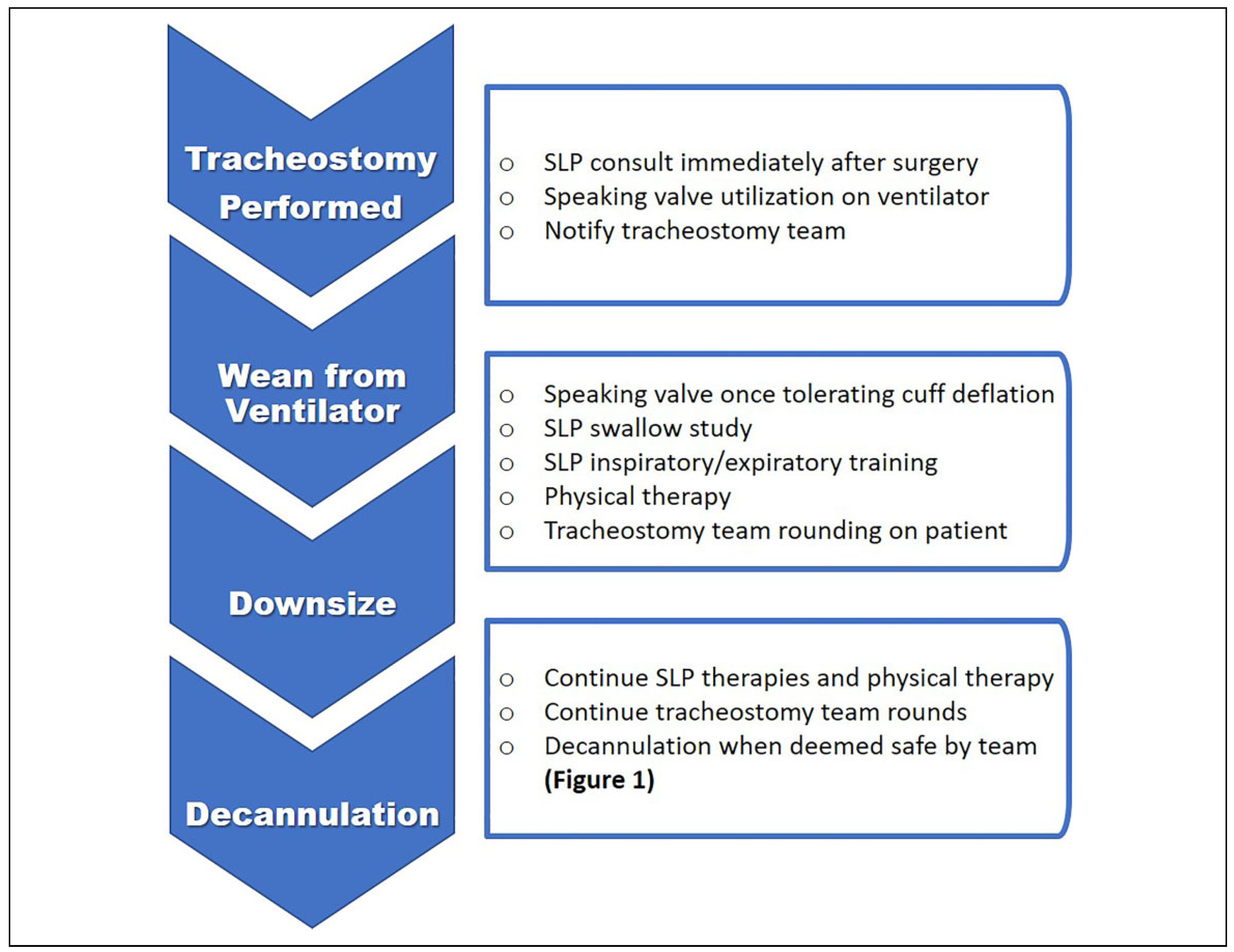 Speech Pathology Services Are Integral, but Underutilized in ...