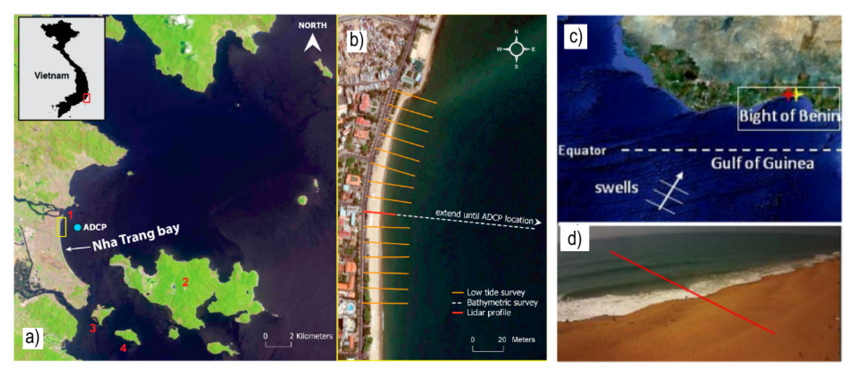 Surf and Swash Dynamics on Low Tide Terrace Beaches