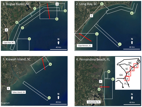 Geomorphic Response of the Georgia Bight Coastal Zone to Accelerating ...