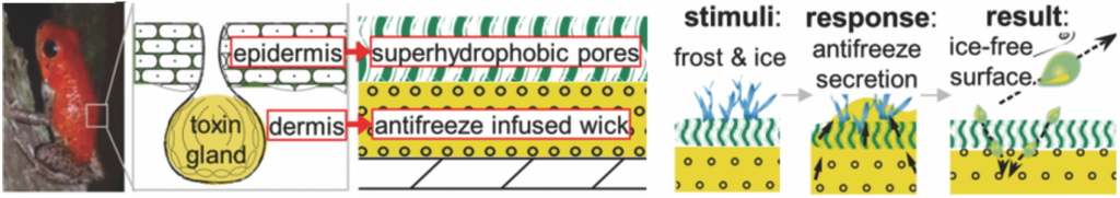 Coatings | Special Issue : Anti-Icing Coatings and Surfaces