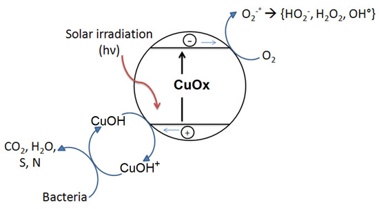 Recent Developments in Accelerated Antibacterial Inactivation on 2D Cu ...