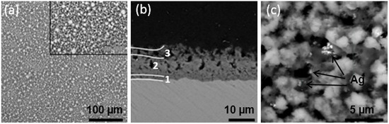 Coatings | Free Full-Text | Review of Antibacterial Activity of ...