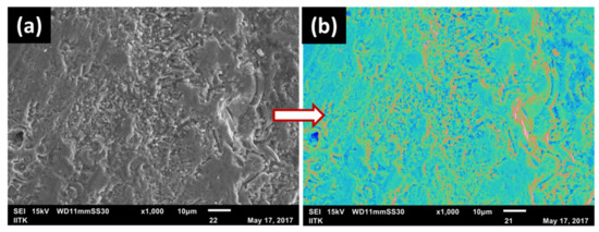 Chemical Vapor Deposition of TaC/SiC on Graphite Tube and Its Ablation ...