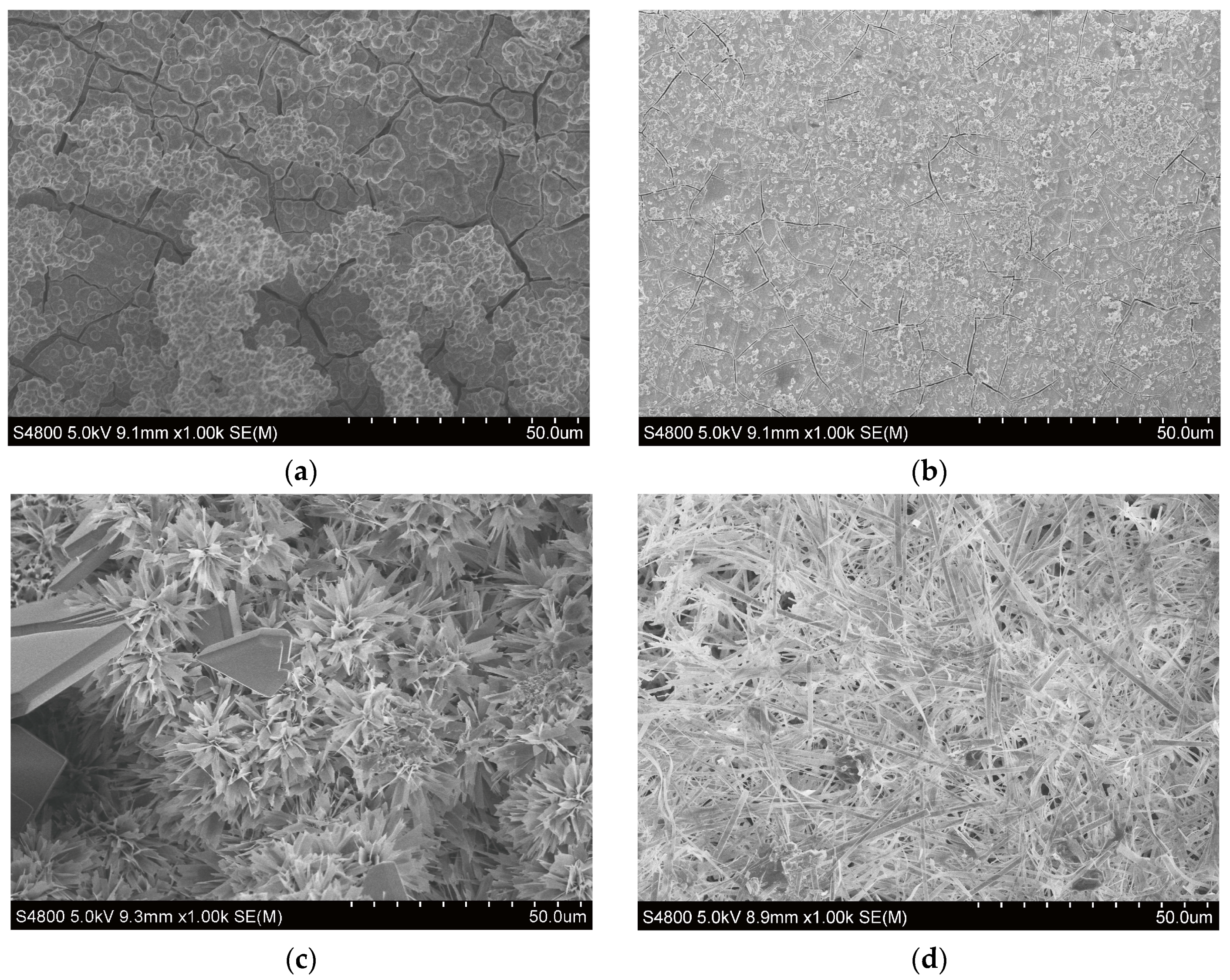 Preparation of Hydroxyapatite/Tannic Acid Coating to Enhance the Corrosion Resistance and ...
