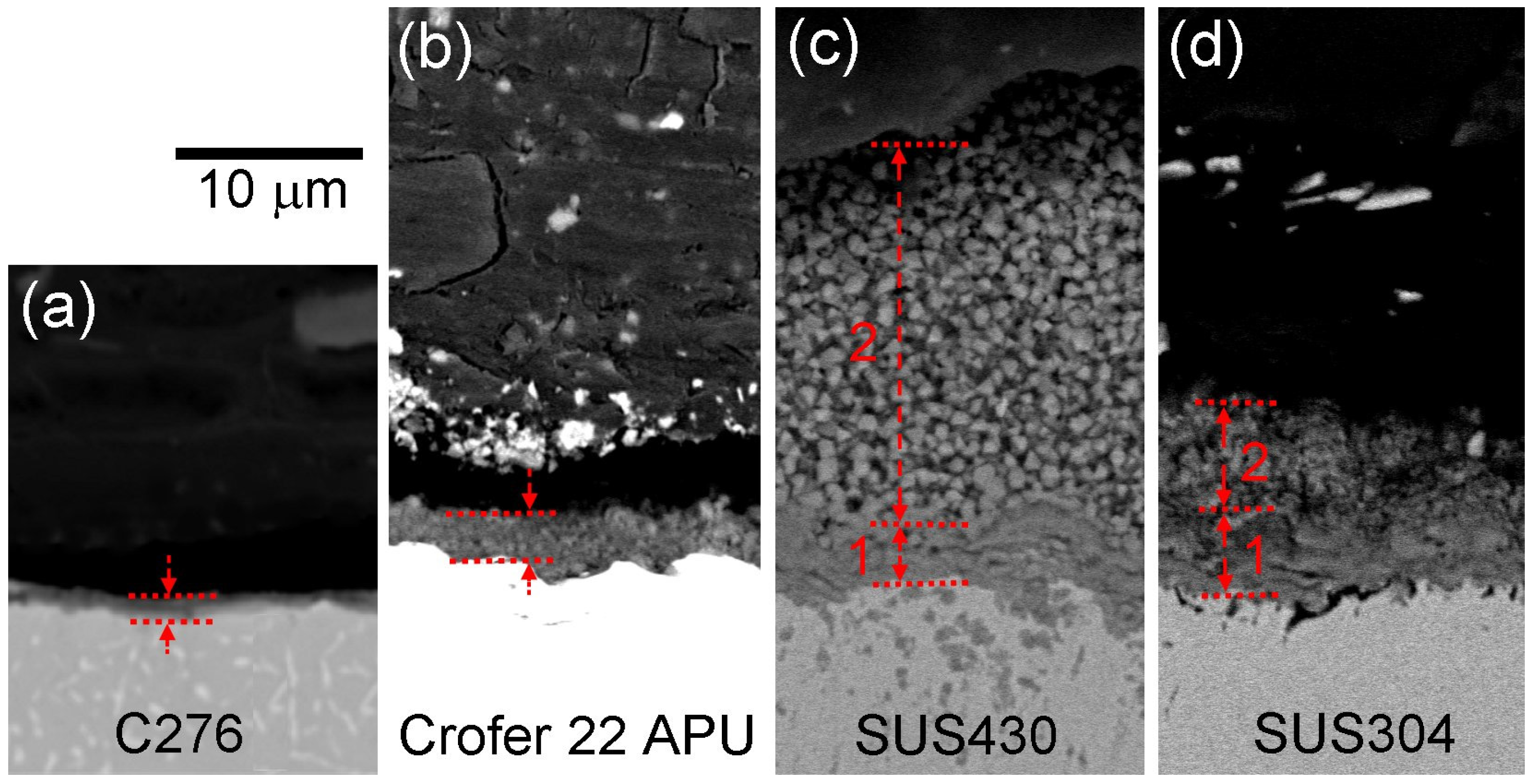 Plasma-Sprayed LSM Protective Coating on Metallic Interconnect of SOFC