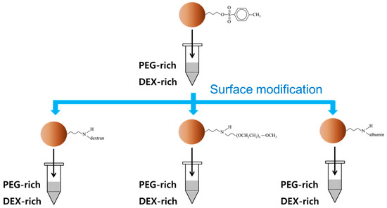 Modulating the Partitioning of Microparticles in a Polyethylene Glycol (PEG)-Dextran (DEX ...