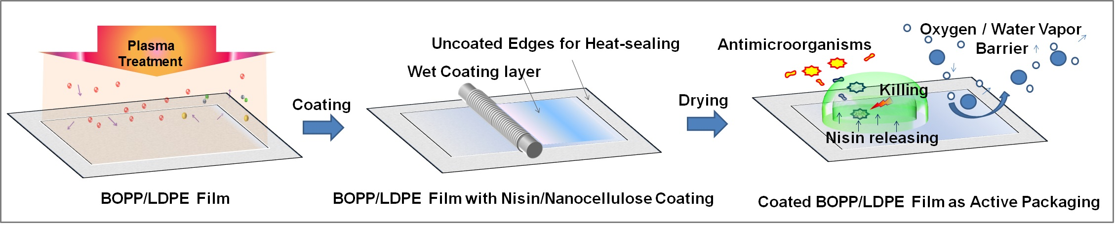 Coatings | Free Full-Text | Application of Nanofibrillated Cellulose on ...
