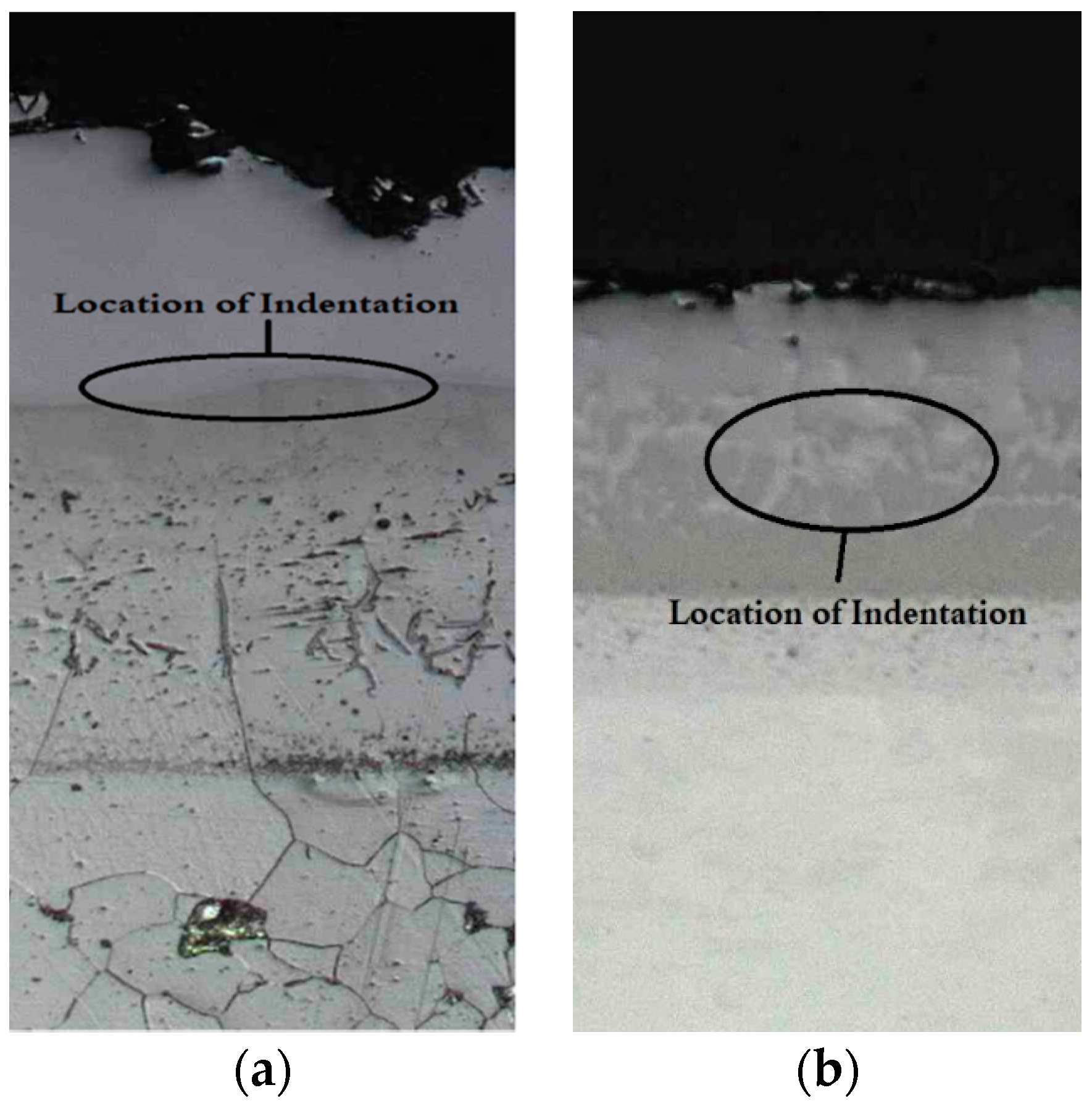 Coatings | Free Full-Text | Corrosion Resistance of Boronized ...
