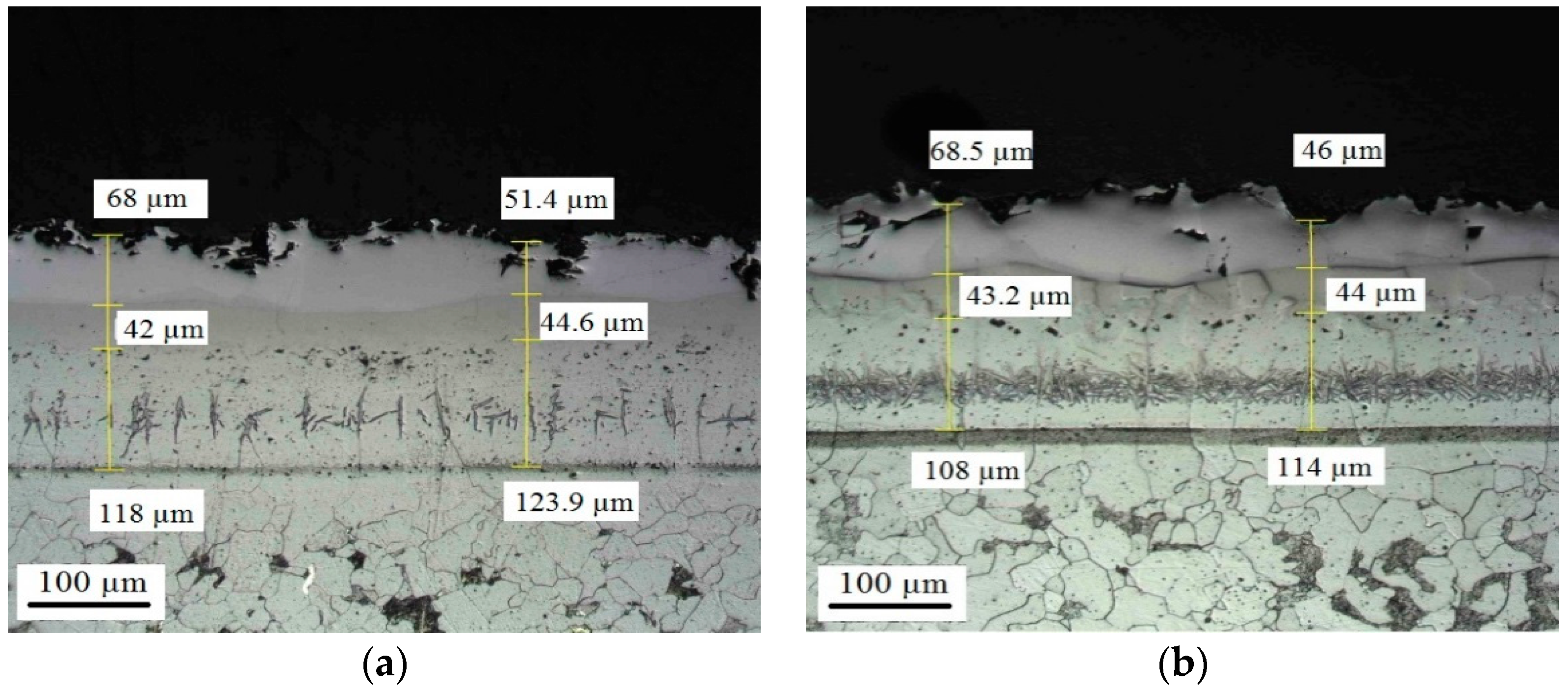 Coatings | Free Full-Text | Corrosion Resistance of Boronized ...