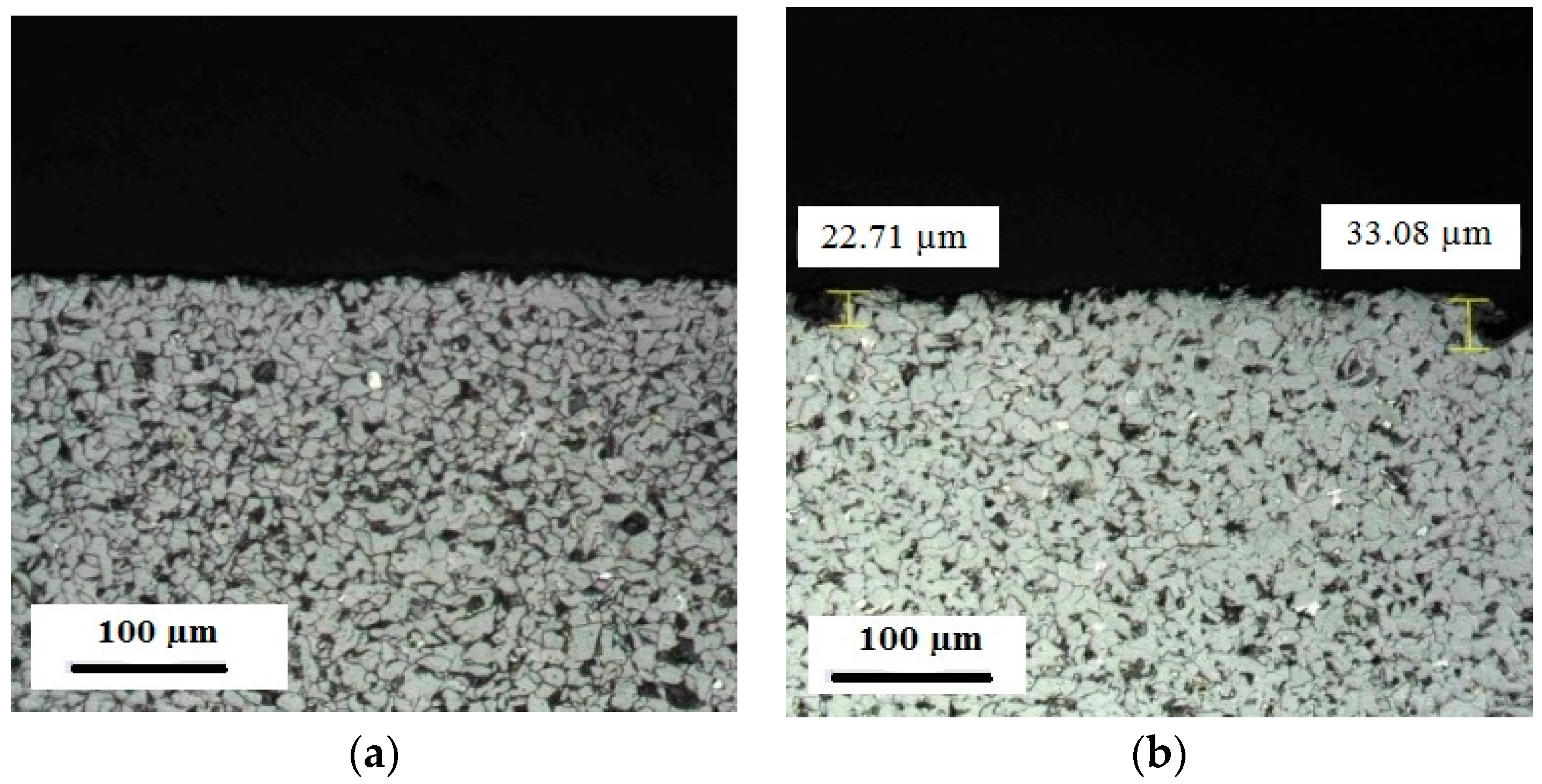 Coatings | Free Full-Text | Corrosion Resistance of Boronized ...